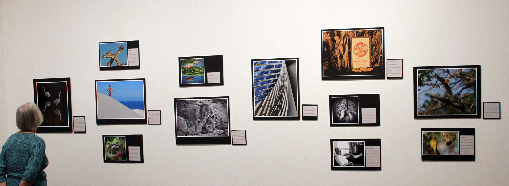 Greg Pech artwork on display at Belle Plaine Area Museum – Jim Magdefrau